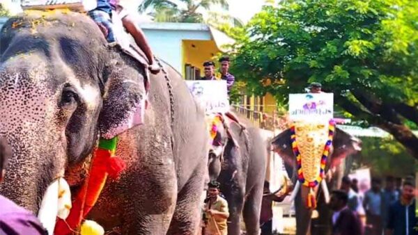 Pattambi Nercha on 3/Apr/2025